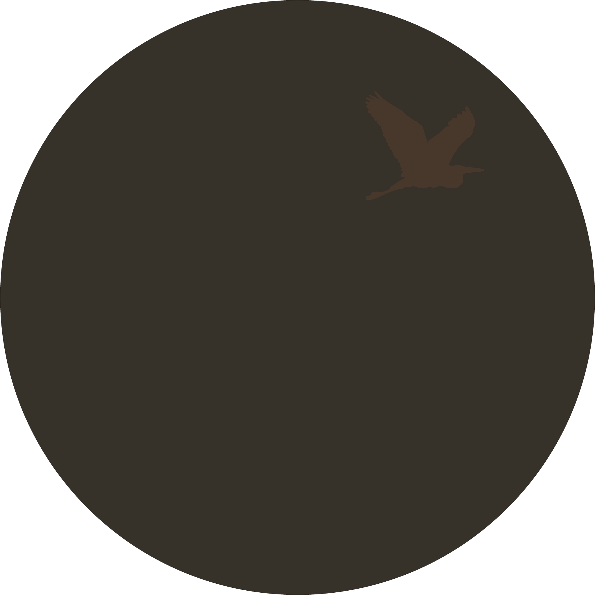 Natural Metal Graphite Paint. Exterior protection from Linseed Oil ...