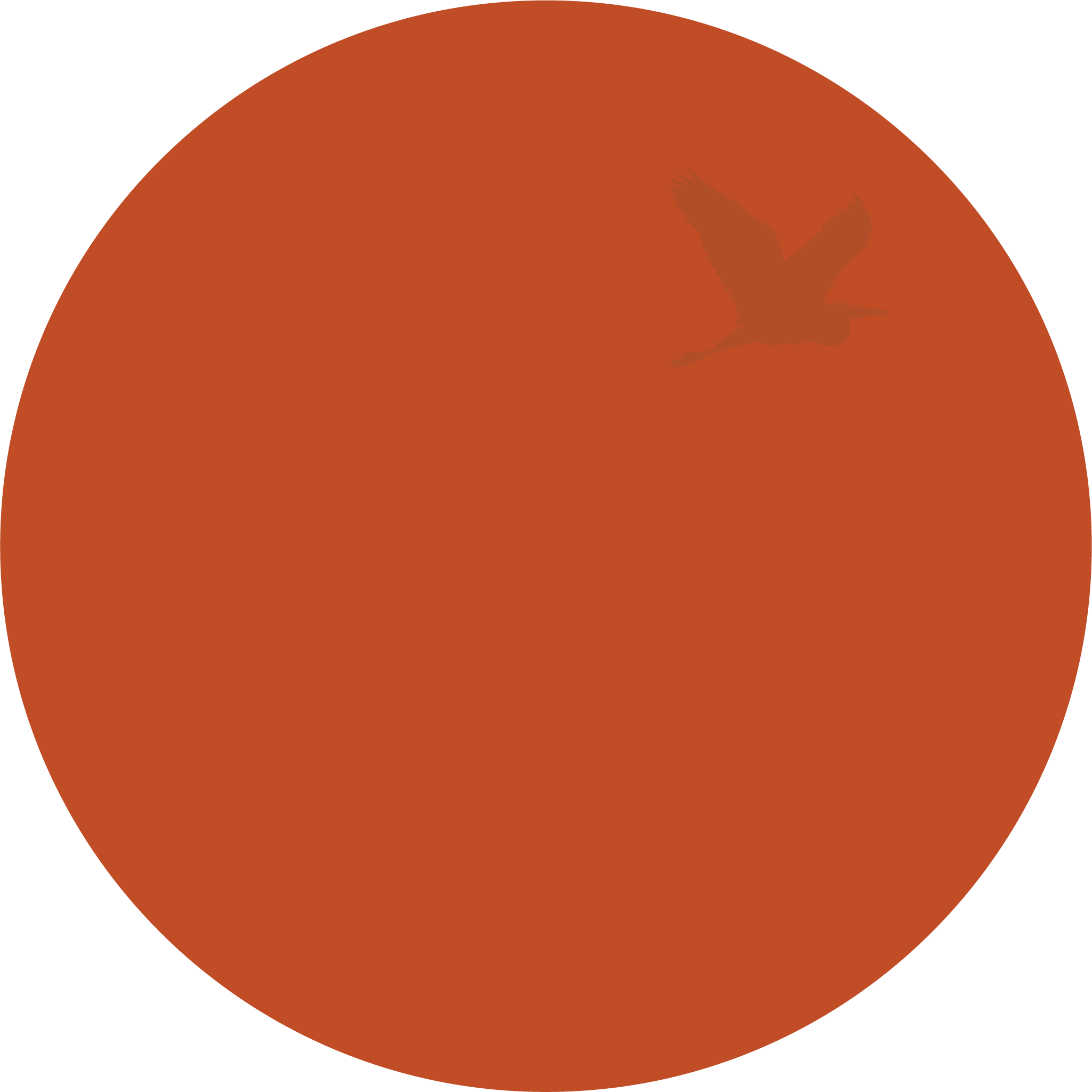 Natural Exterior House Paint. Traditional Barn Red Linseed Oil Paint ...