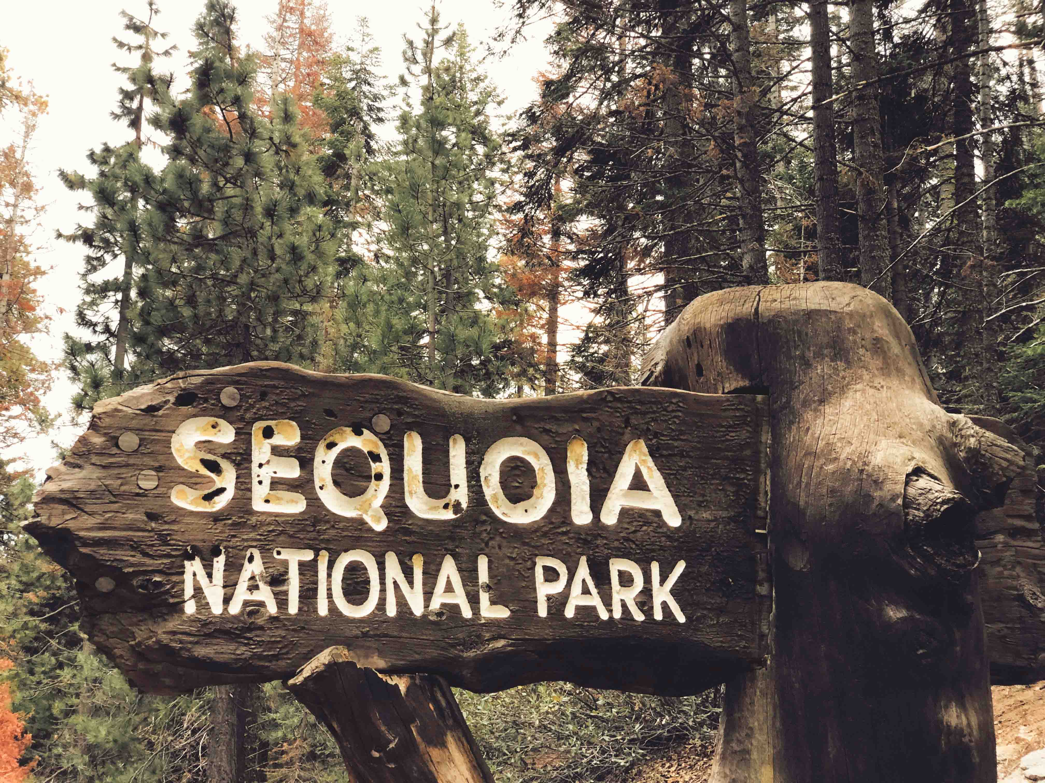 Linseed Oil Paint - NPS & FS Sign Brown FED-STD 20059 – Heron Linseed ...